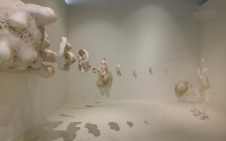 Uncategorized | Dynamic Projection