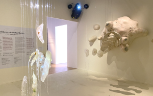 Uncategorized | Dynamic Projection