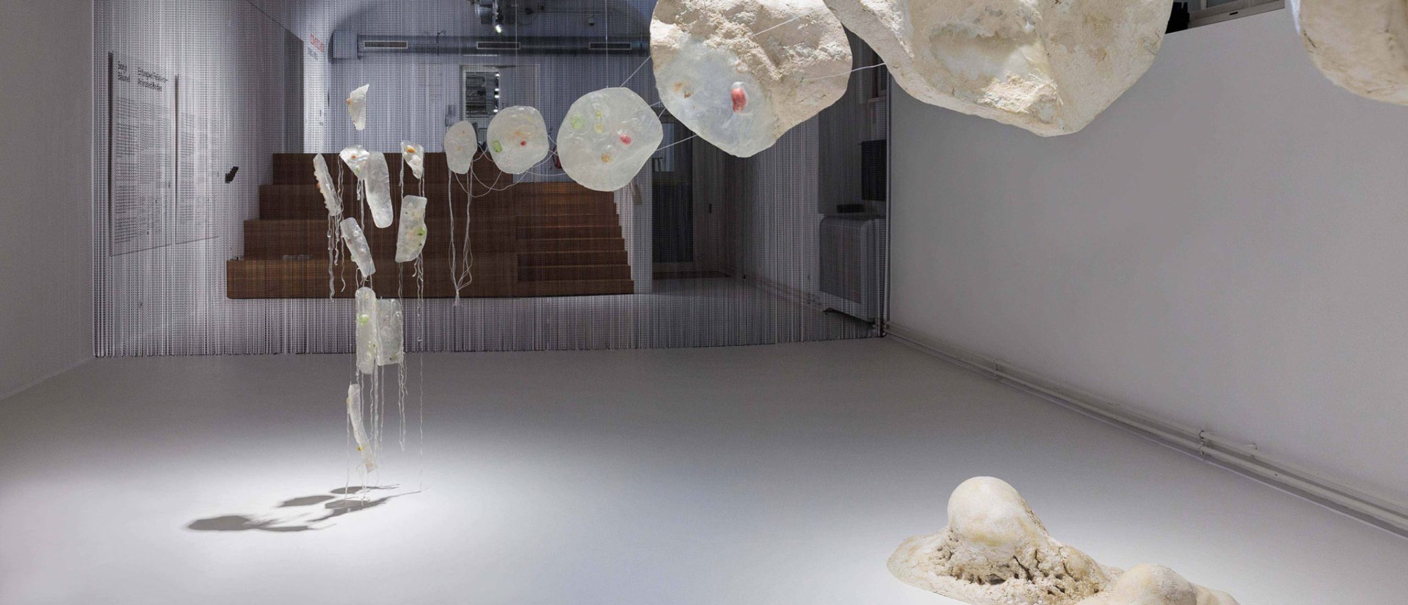 Uncategorized | Dynamic Projection