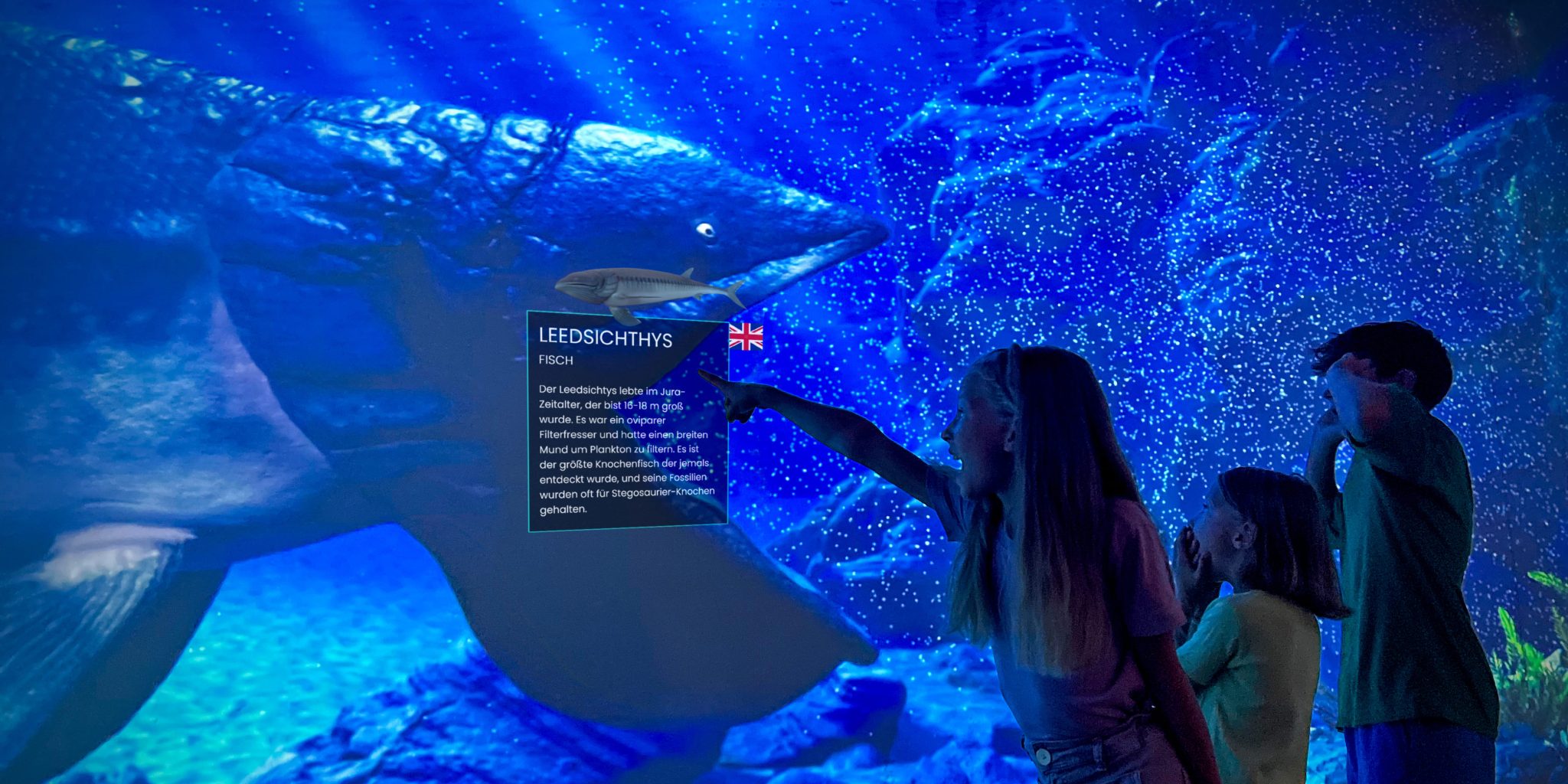 Uncategorized | Dynamic Projection